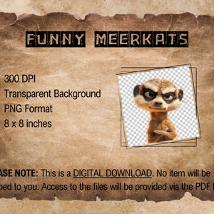 Quirky Meerkats Clipart Bundle of Whimsical Animal Funny Meerkats ...