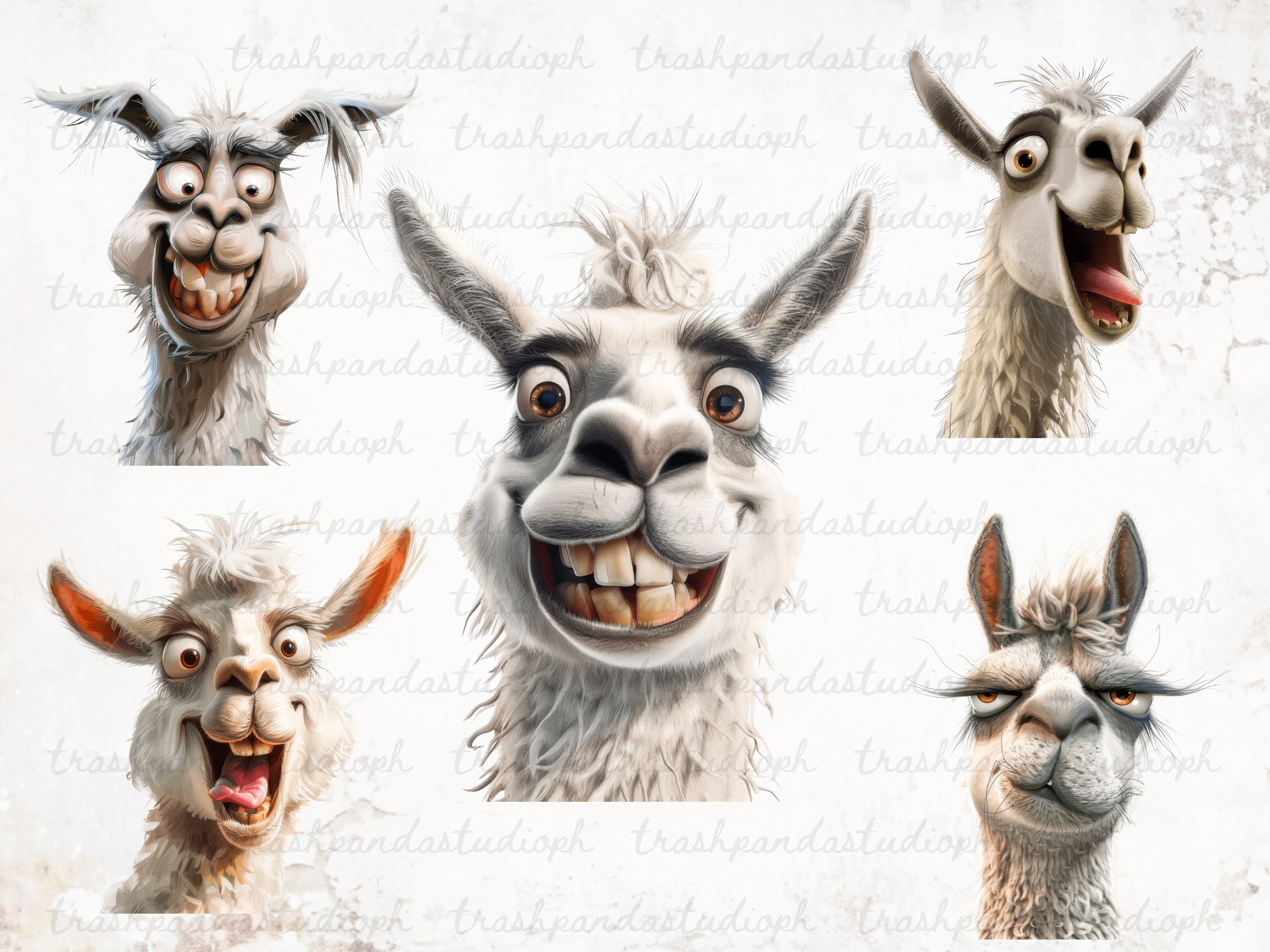 Quirky and Funny Llamas Clipart Collection, Transparent PNG File, 300 ...