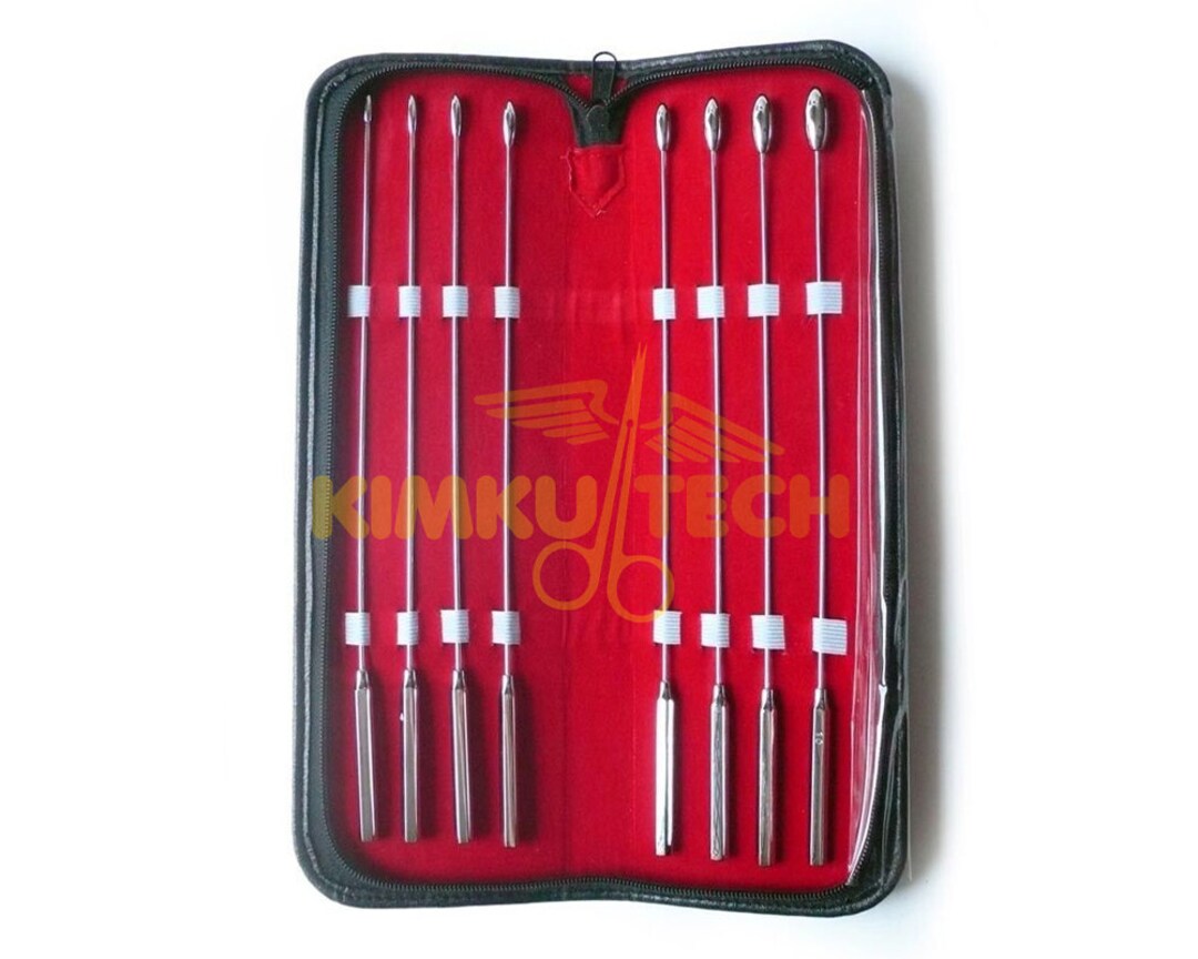 Bakes Rosebud Urethral Sounds Dilators Set of 8 Pcs Stainless - Etsy
