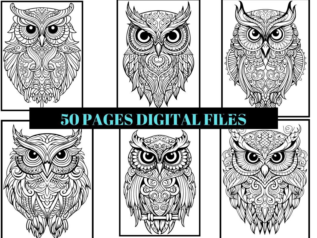 Whimsical Owl Coloring Pages Printable Night Bird Art for All Ages - Etsy