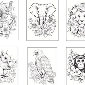 Animal Coloring Pages, 50 Printable Pages, Animal Coloring Pages for ...
