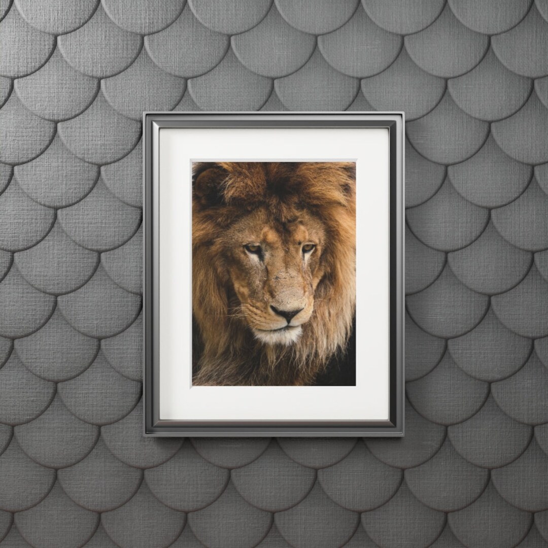 Lion Photo Frame, Custom Photo Frame - Etsy