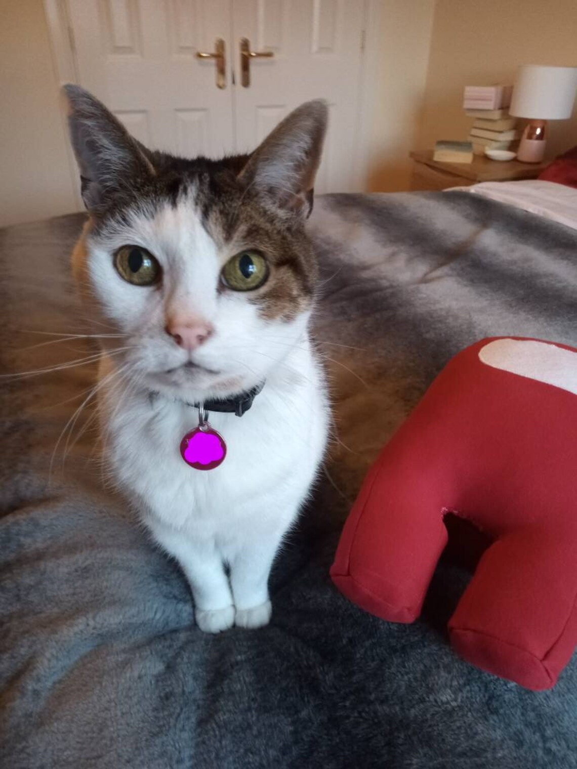 Among Us Plushie Sewing Pattern PDF - Etsy