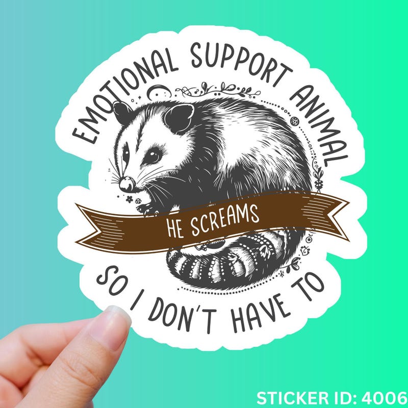 Opossum Stickers - Etsy