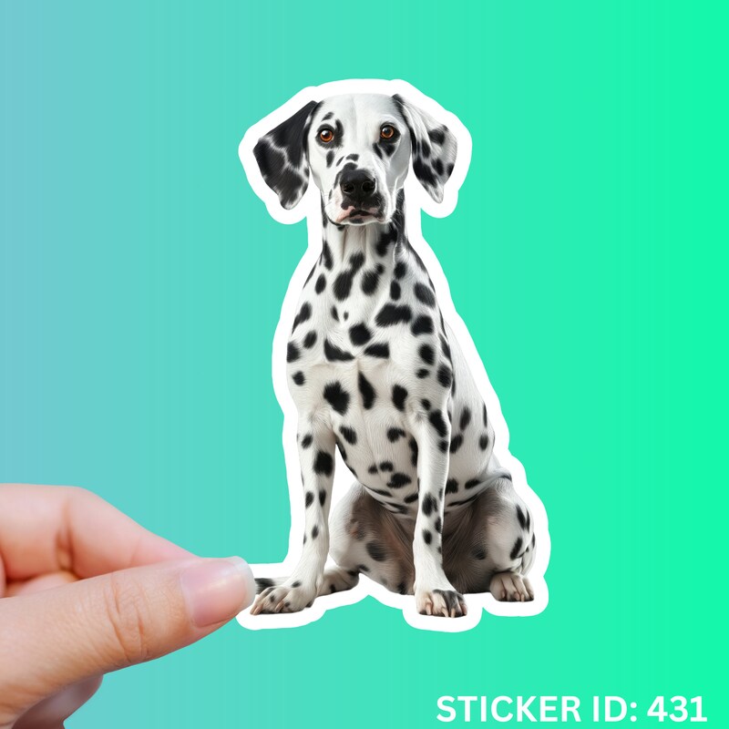 Dalmatian Party - Etsy