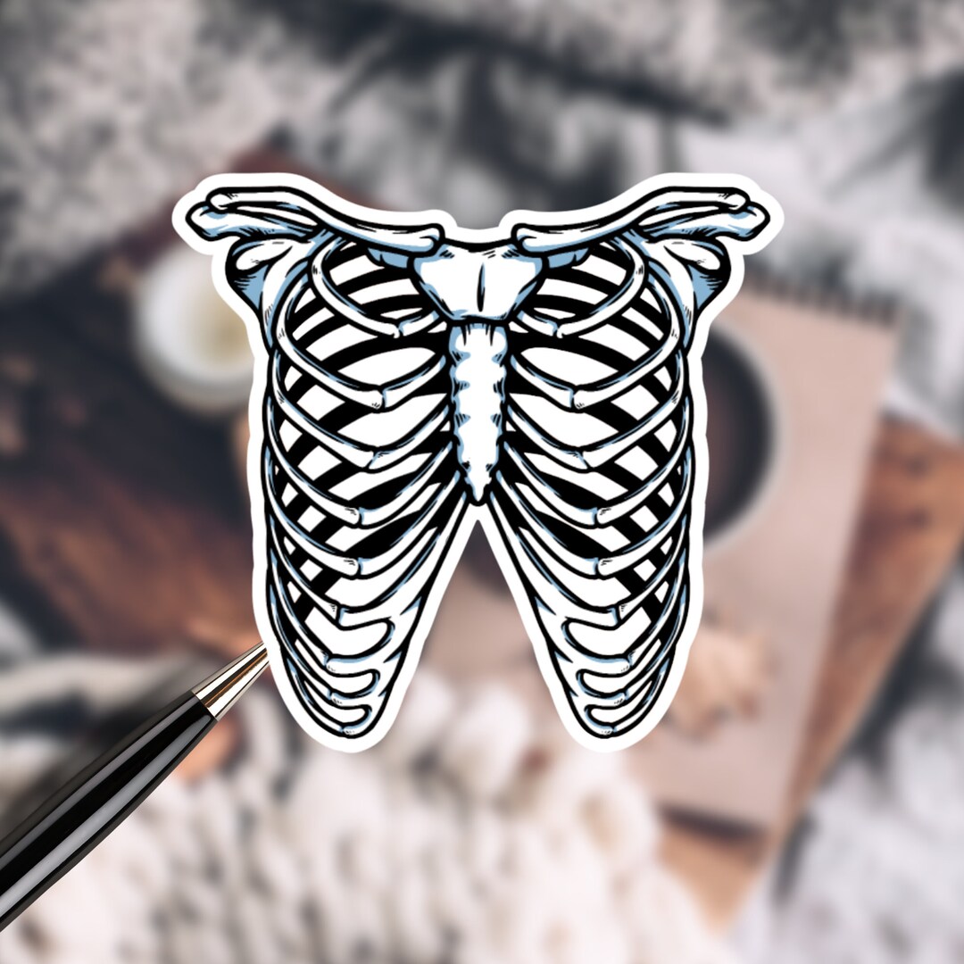 Rib Cage Sticker Bone Sticker Body Sticker Anatomical - Etsy