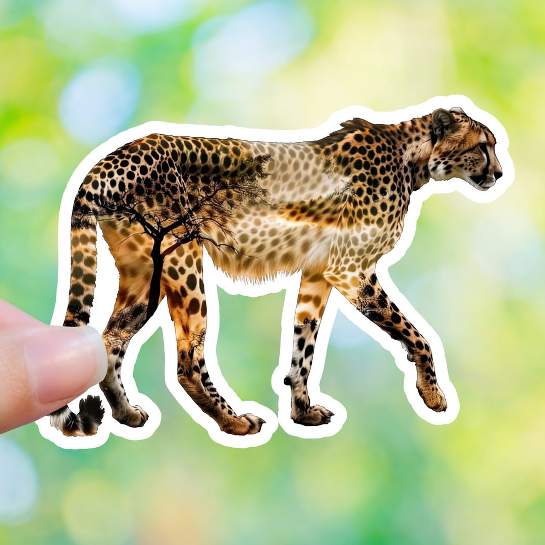 Cheetah Sticker Cat Sticker Big Cat African Cat Desert Sticker Laptop ...