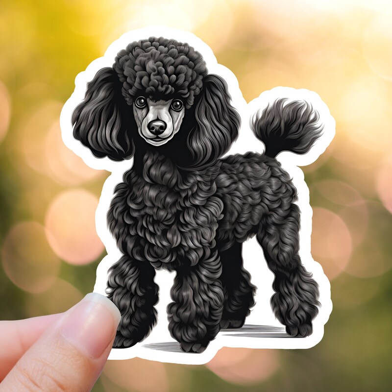 Poodle Sticker - Etsy