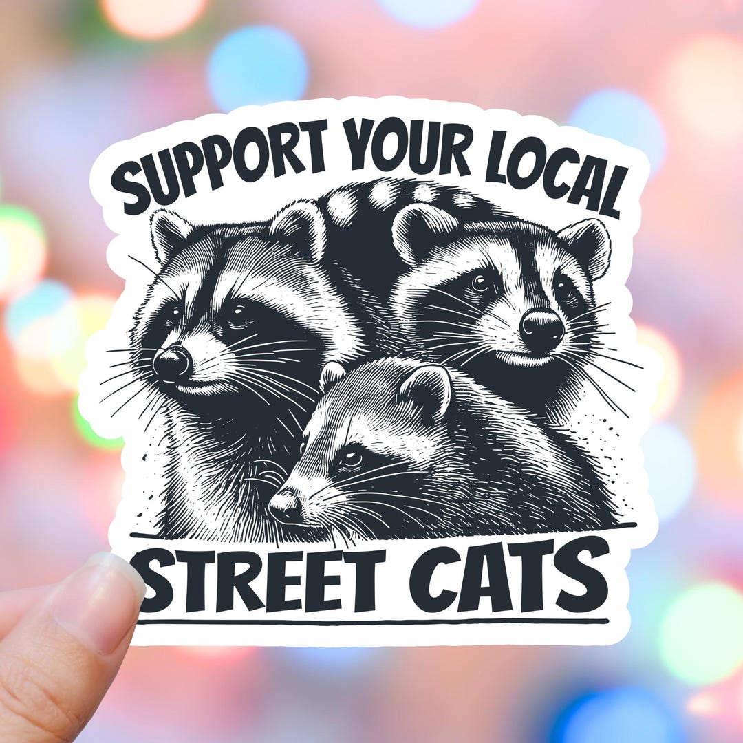 Support Your Local Street Cats Sticker, Funny Raccoon Stickers, Meme ...