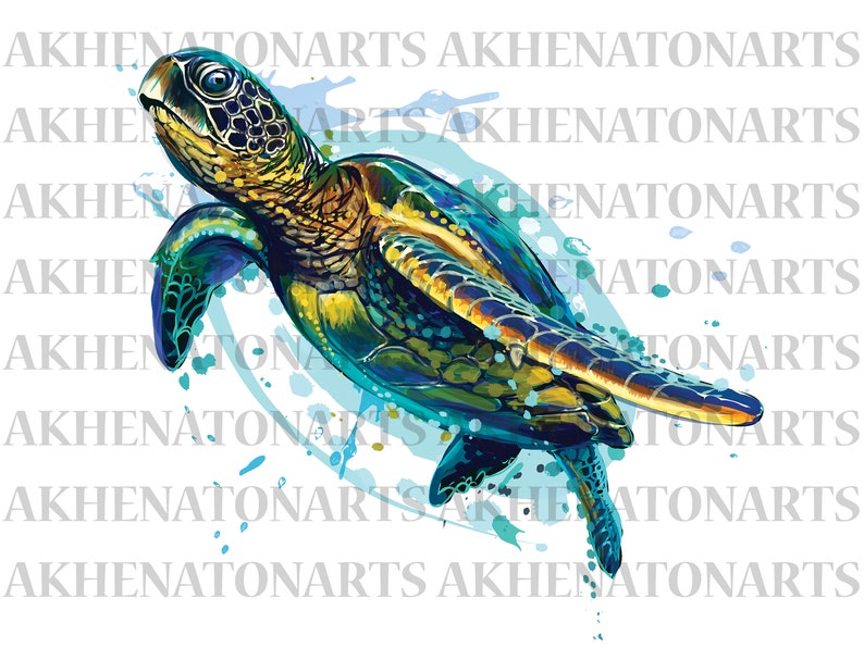 Hand Drawn Turtle Png Watercolor Turtle Sea Turtle Sea - Etsy