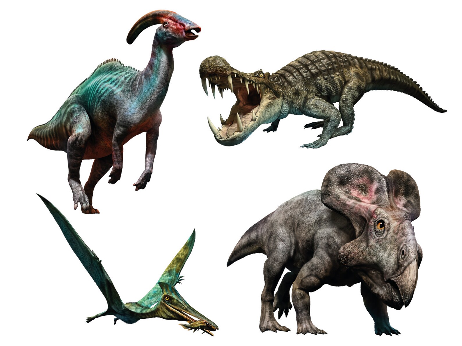 Dinosaur Png Dinosaur Bundle Png Set of 20 Dinosaur Png - Etsy