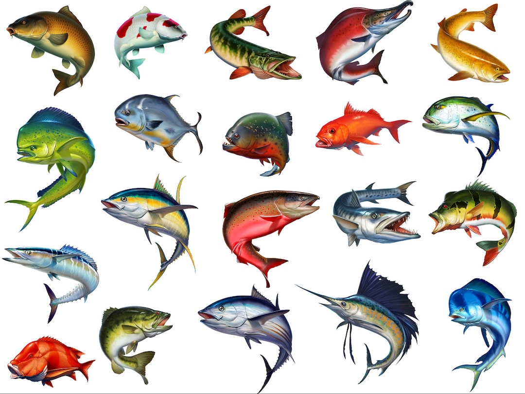 20 Fishes Clipart Bundle , Fishing Clipart , Ocean Fish Clipart , Fish ...