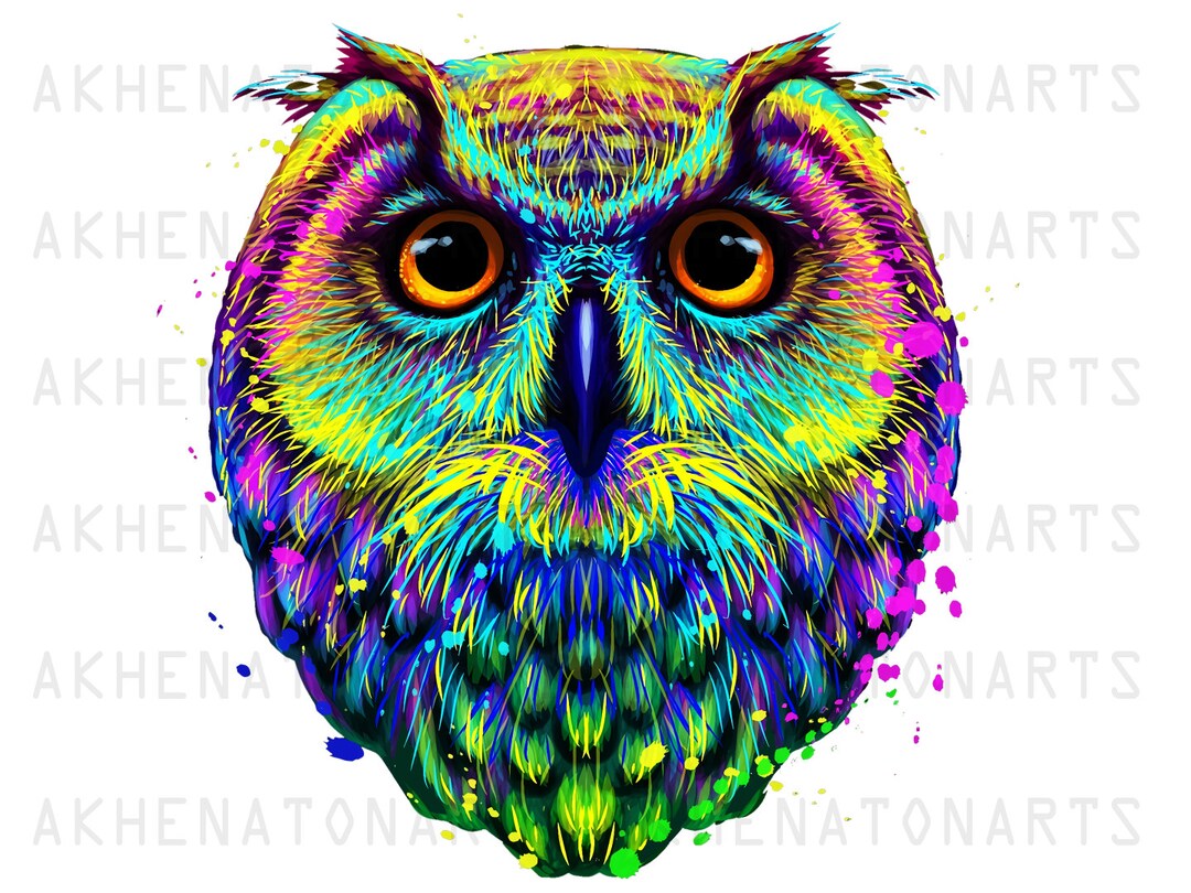 Bunte Eule Png Eule Clipart Eule Digital Download Eule - Etsy Schweiz