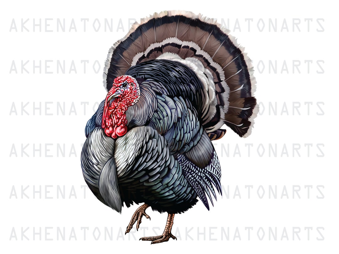 Turkey Png , Turkey Clipart , Turkey Sublimation Design , Turkey ...