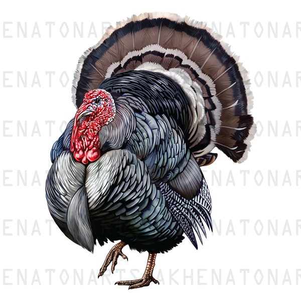 Turkey Clipart - Etsy