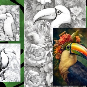 Toucans: Coloring Pages for Adults and Kids, Instant Download ...