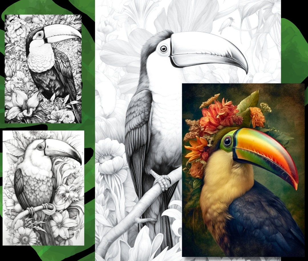 Toucans: Coloring Pages for Adults and Kids, Instant Download ...