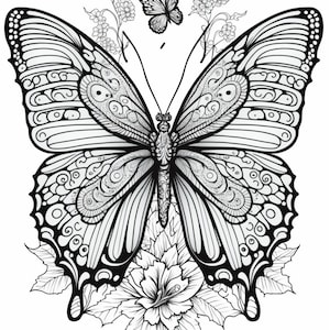 50 Fluttering Beauties: A Coloring Book of Butterflies Coloring Book ...