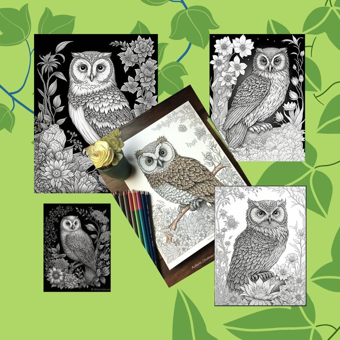 12 Adult Coloring Book Page,12 Images /digital Download/coloring Page ...