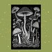 Enchanted Fungi: A Magical Coloring Book of Mushrooms Gnomes - Etsy