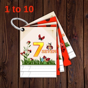 Number Tracing Flashcards, Ladybug, Printable, Counting, Learn Numbers ...