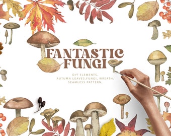 Watercolor Mushrooms Clipart Cute Forest Nature Toadstool - Etsy