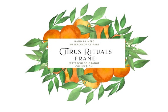 Orange Watercolor Flower Frame-citrus Diamonds Geometry - Etsy