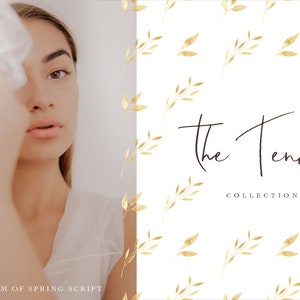 Dream of Spring Handwritten Digital Font,font Download,handwritten Font ...