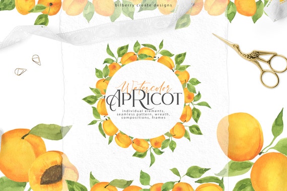 Watercolour Apricots PNG Apricot Pattern Fruits Apricot - Etsy