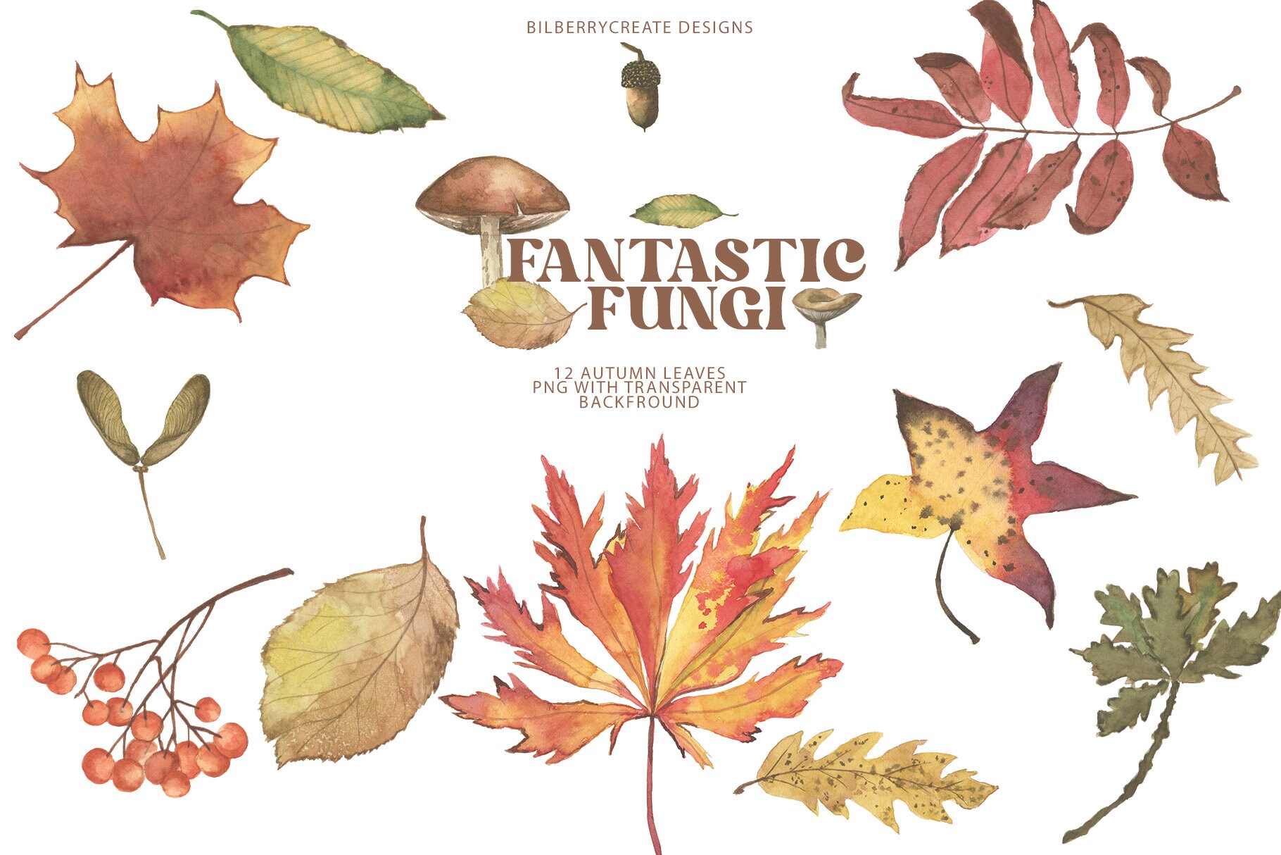 Watercolor Fall Leaves Clipart Fall Clipart Autumn Decor - Etsy