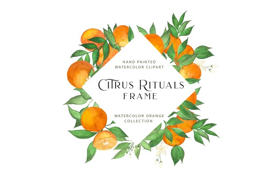 Orange Watercolor Flower Frame-citrus Diamonds Geometry | Etsy