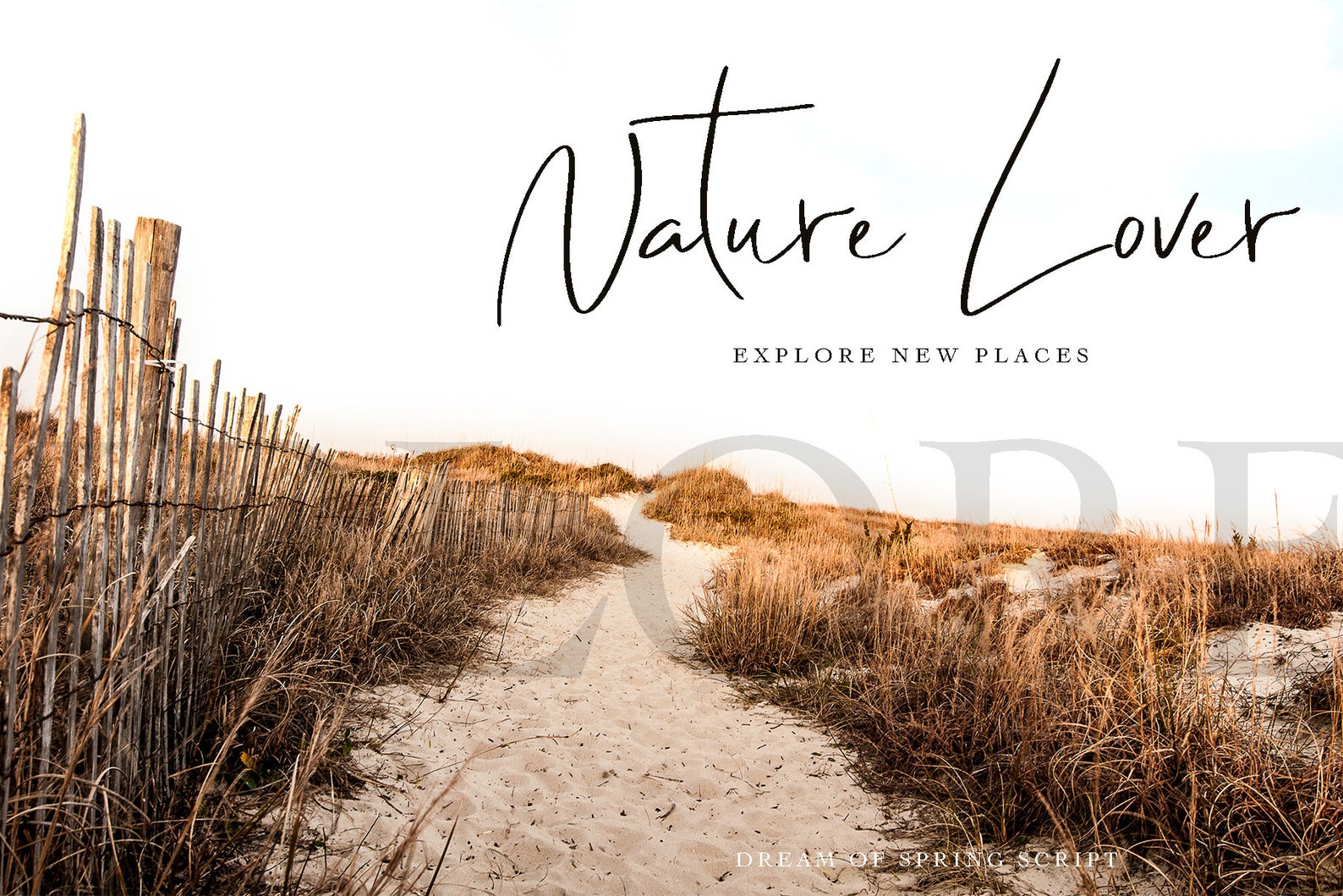 Dream of Spring Handwritten Digital Fontfont - Etsy