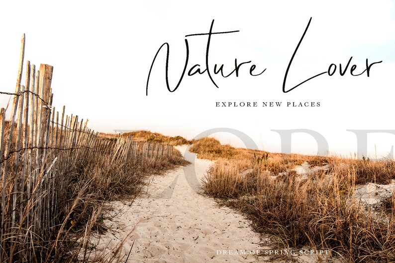 Dream of Spring Handwritten Digital Fontfont - Etsy