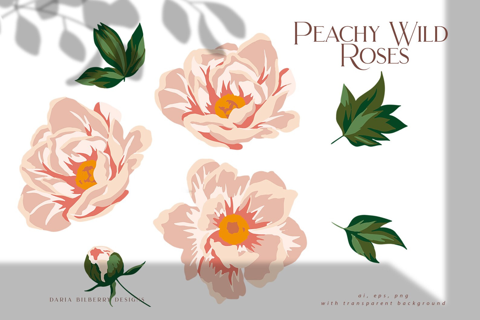 Roses Floral Clipart Peach Elements Watercolor Pink, Peach and White ...