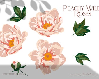 Floral Clipart Peach Elements Watercolor Pink, Peach and White Roses ...