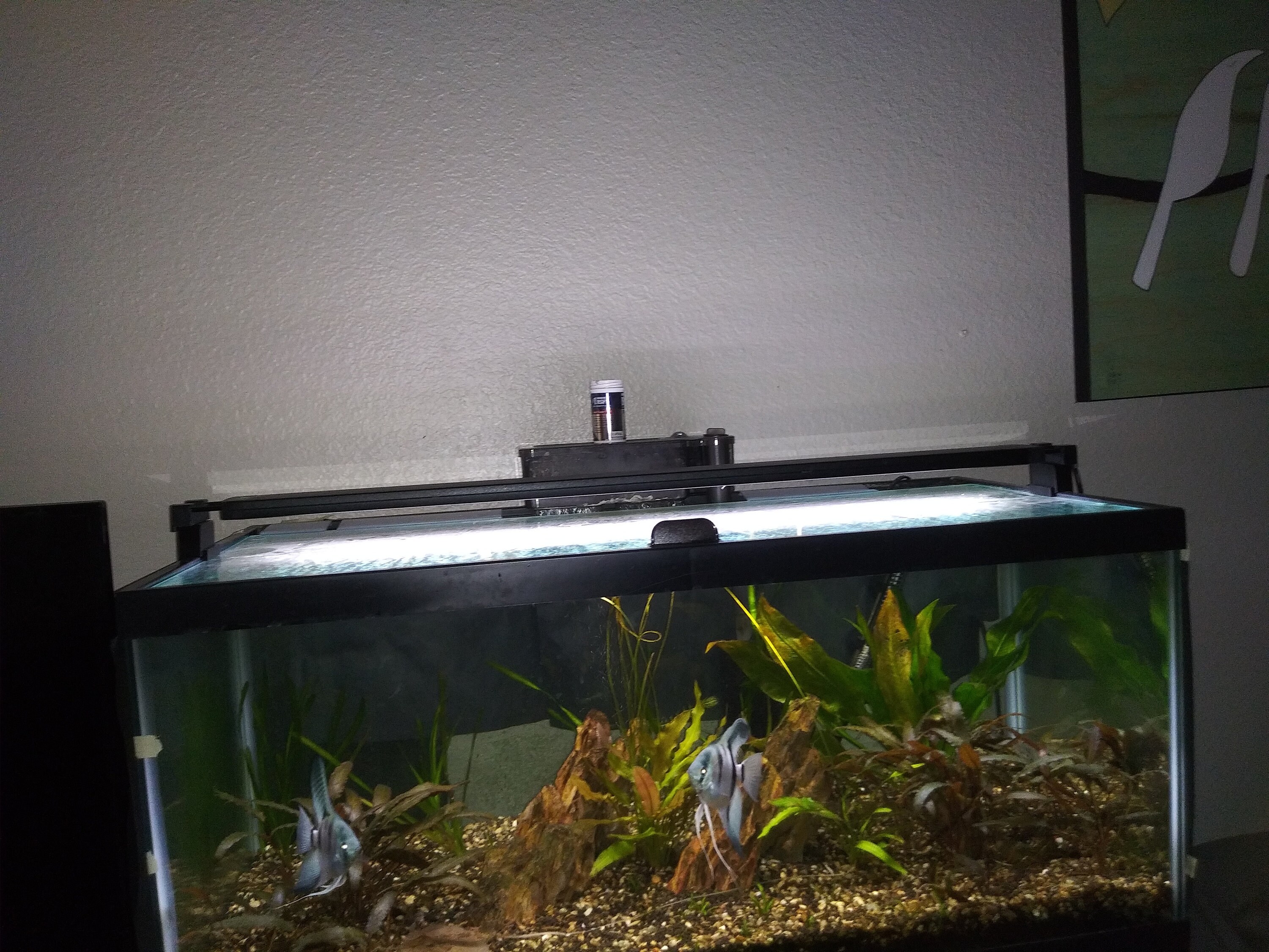 Fluval Aquasky and 3.0 Planted Light 1.25 Inch Riser | Etsy