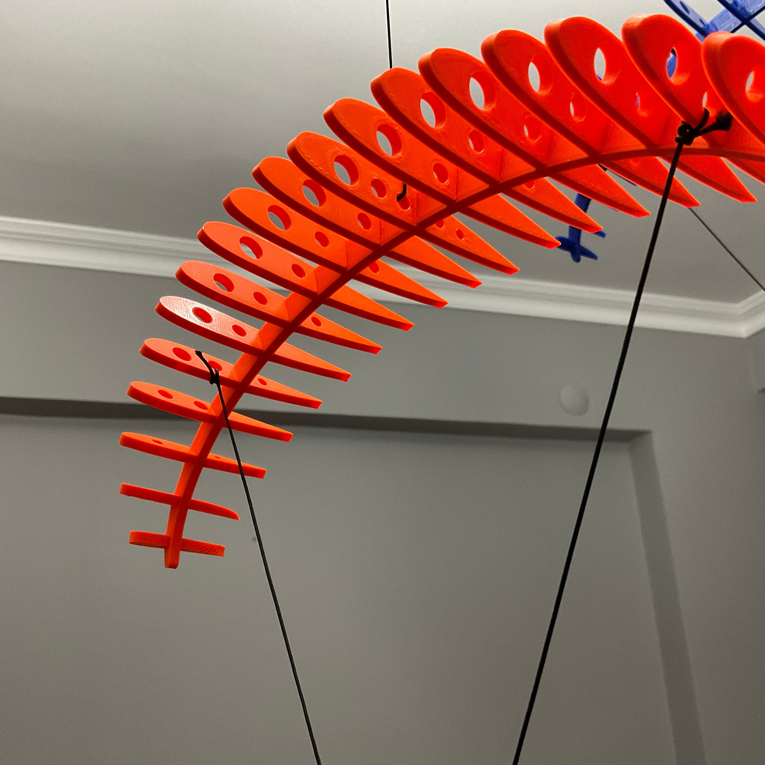 Paraglide Model - Parachute Wing Paraglider Model Easy Assembly - Etsy