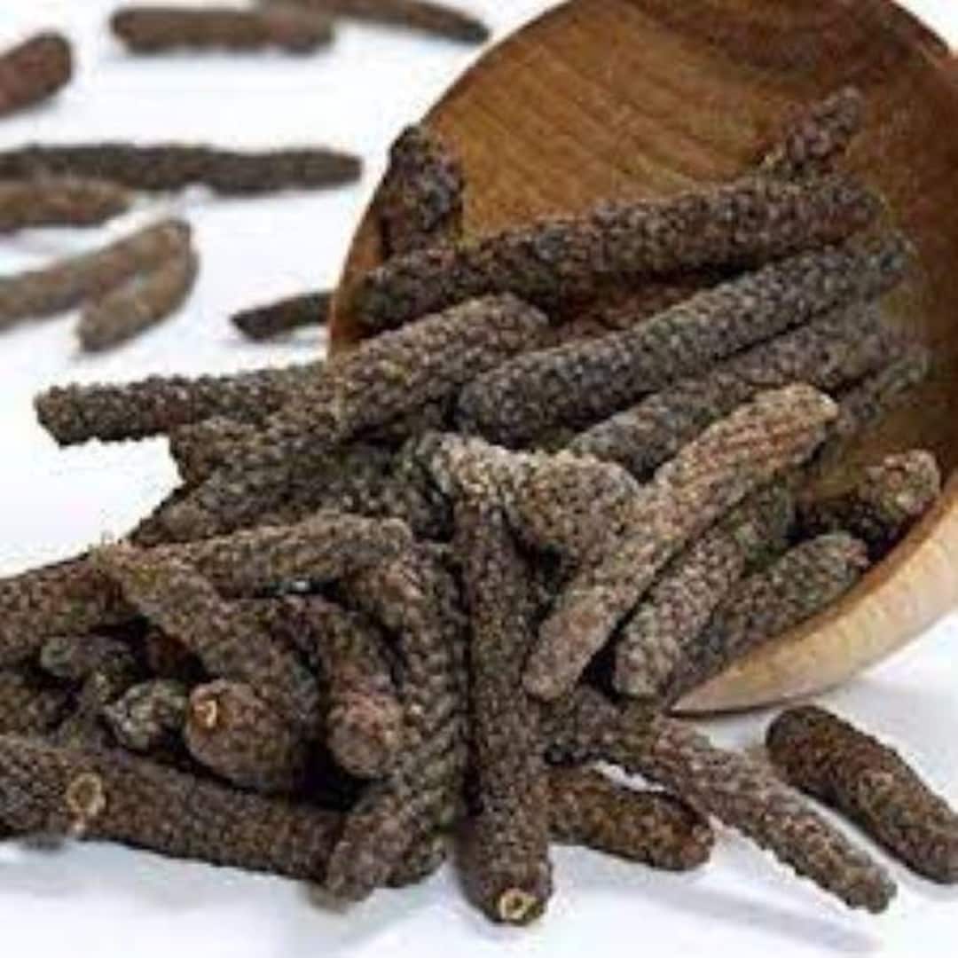 Long Pepper Vine - Piper Longum -rooted STARTER Plant- AKA Indian Long ...