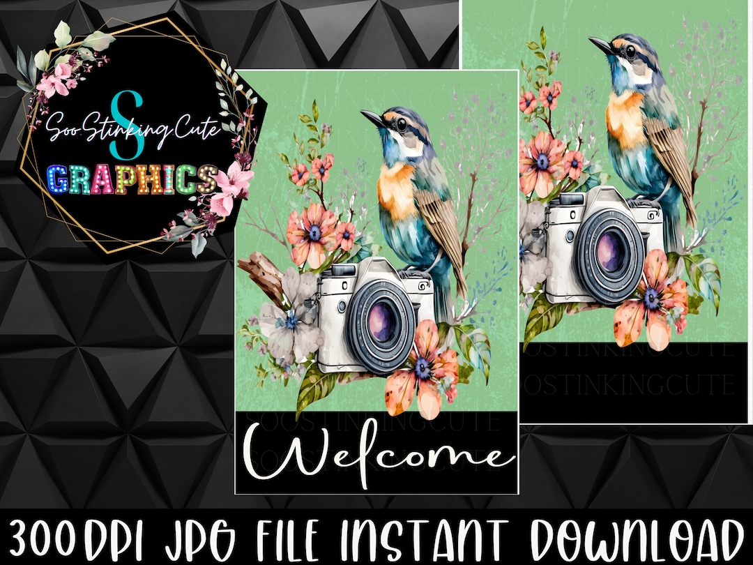 Camera Bird Flag Instant Download,camera Download,bird Graphic Clipart ...
