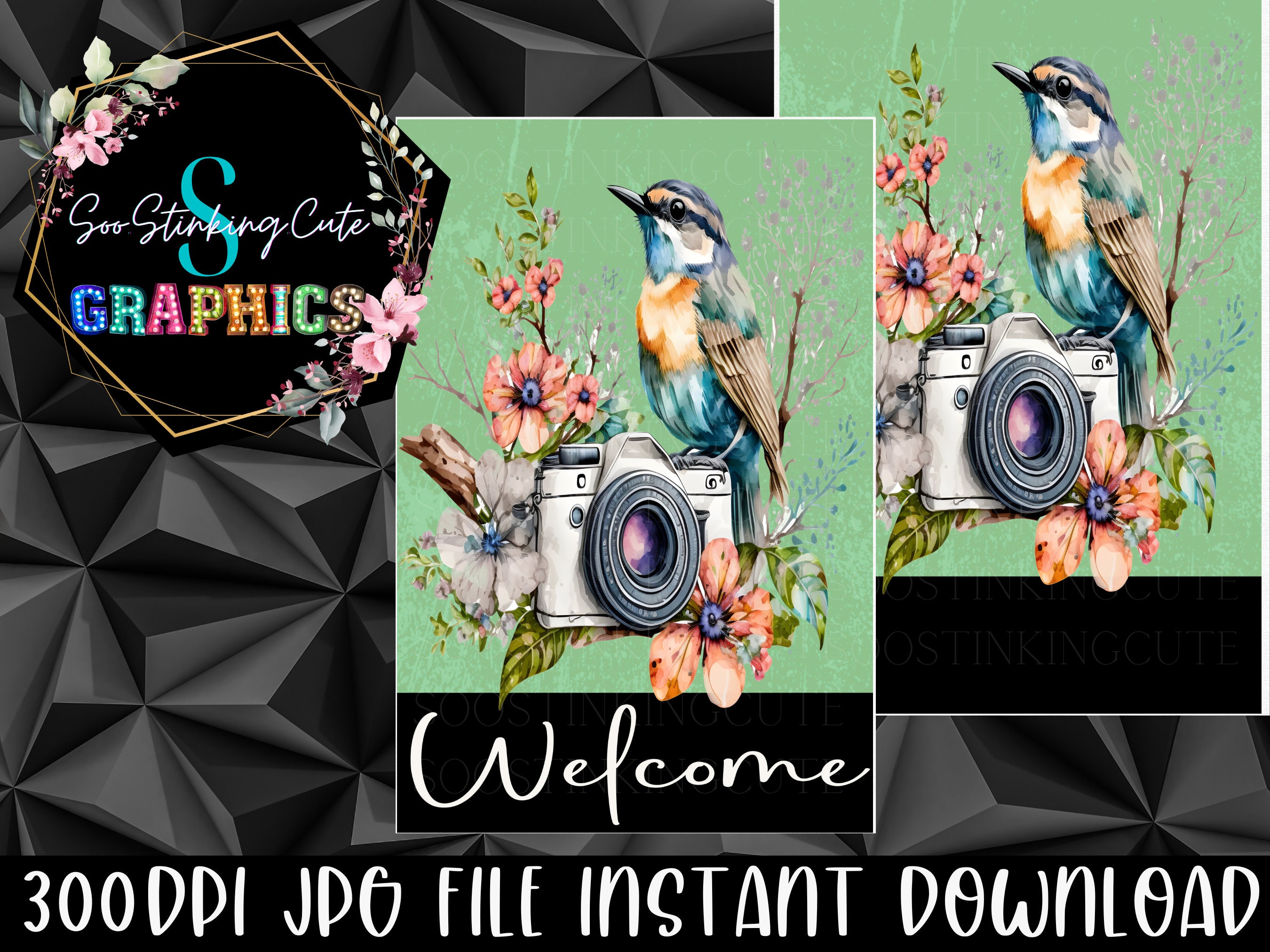 Camera Bird Flag Instant Download,camera Download,bird Graphic Clipart ...