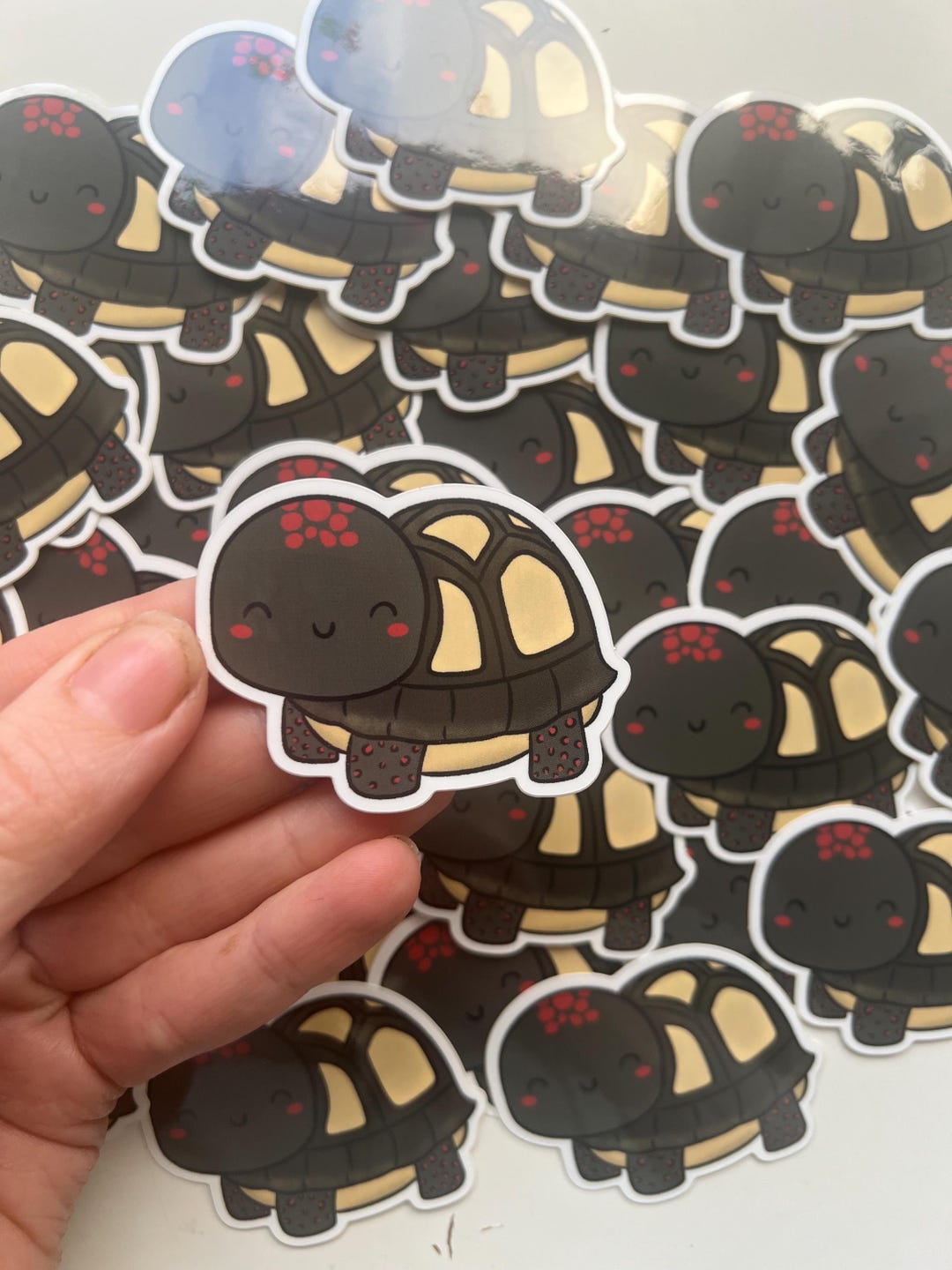 Redfoot Cute Tortoise Sticker, Cute Tortoise Sticker for Notebooks ...