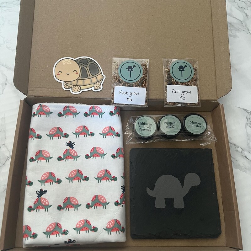 Tortoise Gifts - 60+ Gift Ideas for 2025