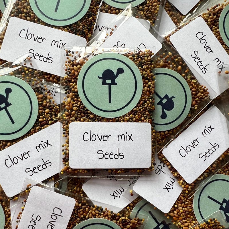 Rare Food Garden Plants - Etsy UK