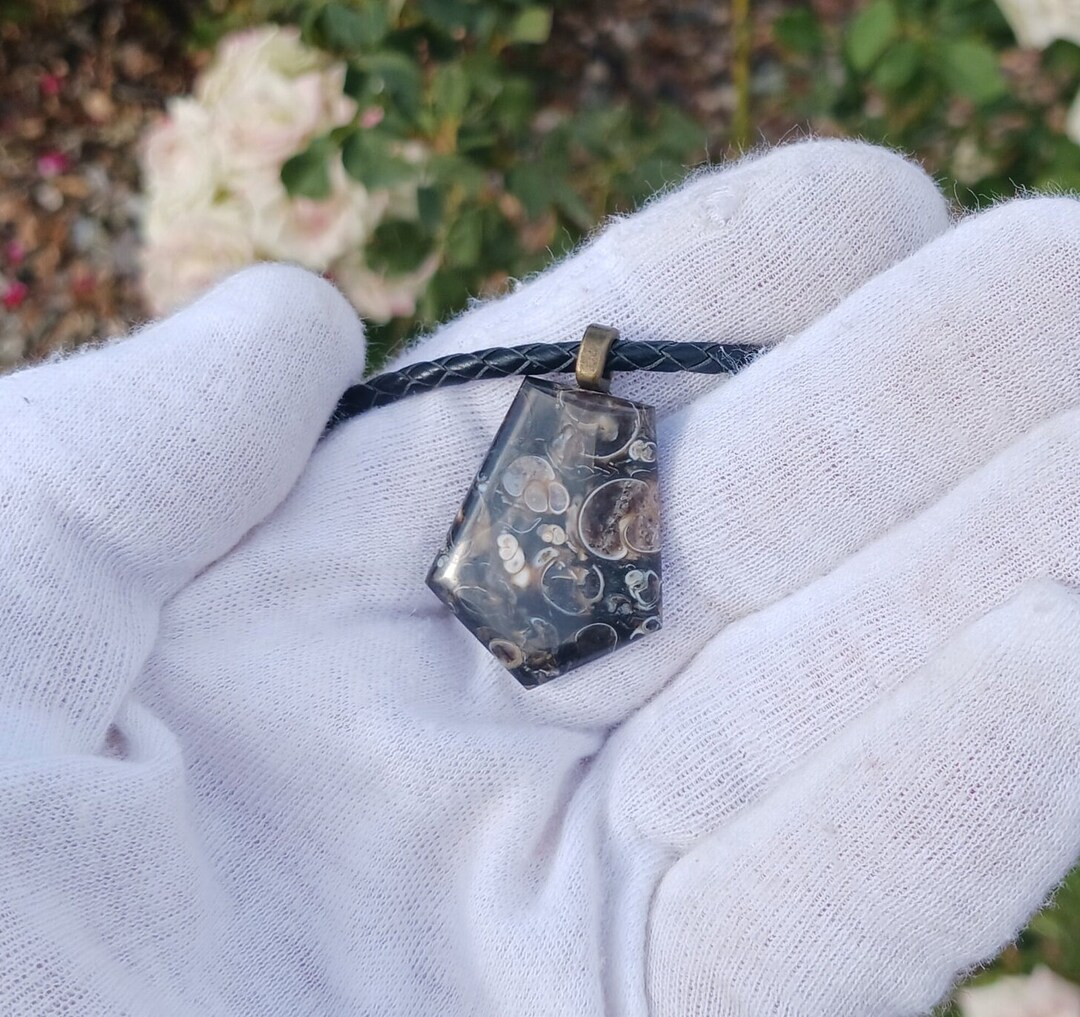 Shell Jasper Free-form Pendant. Attractive Shell Pattern. Braided ...