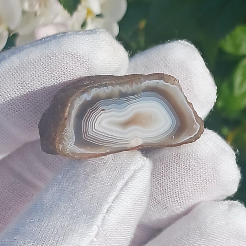 Agate Half Polish - Etsy