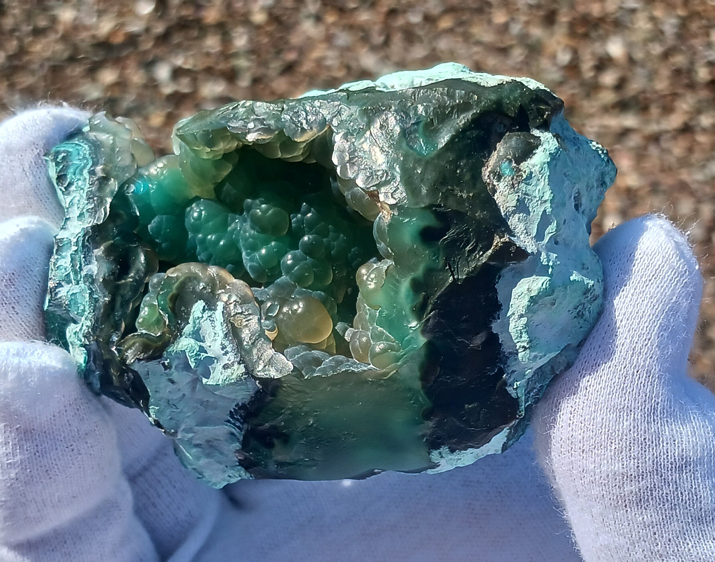 Extremely Rare Botryoidal Gem Silica With Gem Chrysocolla and ...
