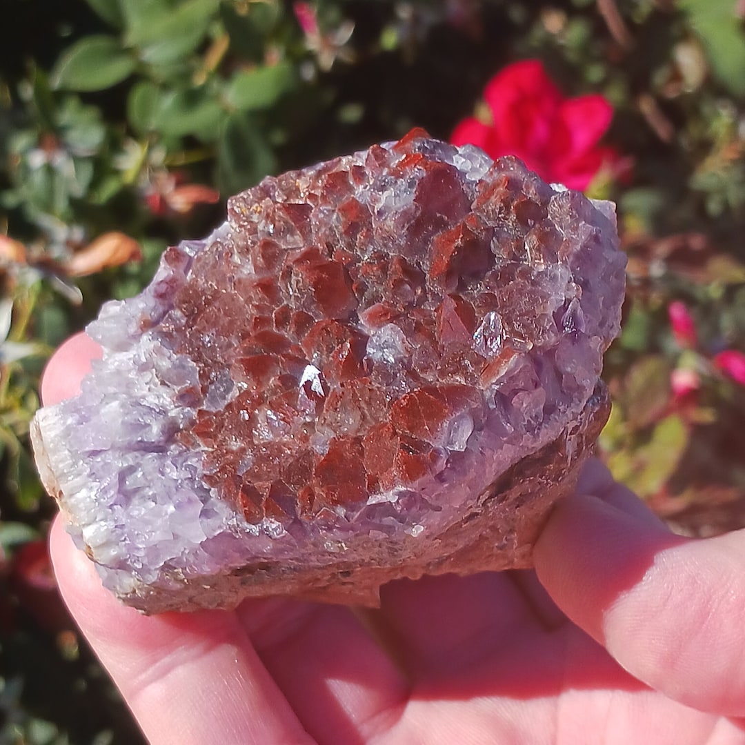 Very Rare Deep Red Amethyst Crystal. Hematite Inclusions Give This Its ...