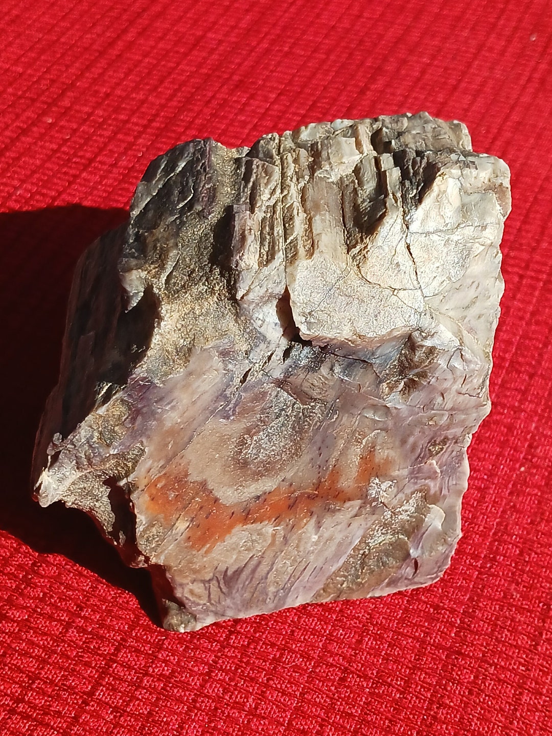 Petrified Wood Limb Cast, 695g. This is an Unmodified Free-standing ...