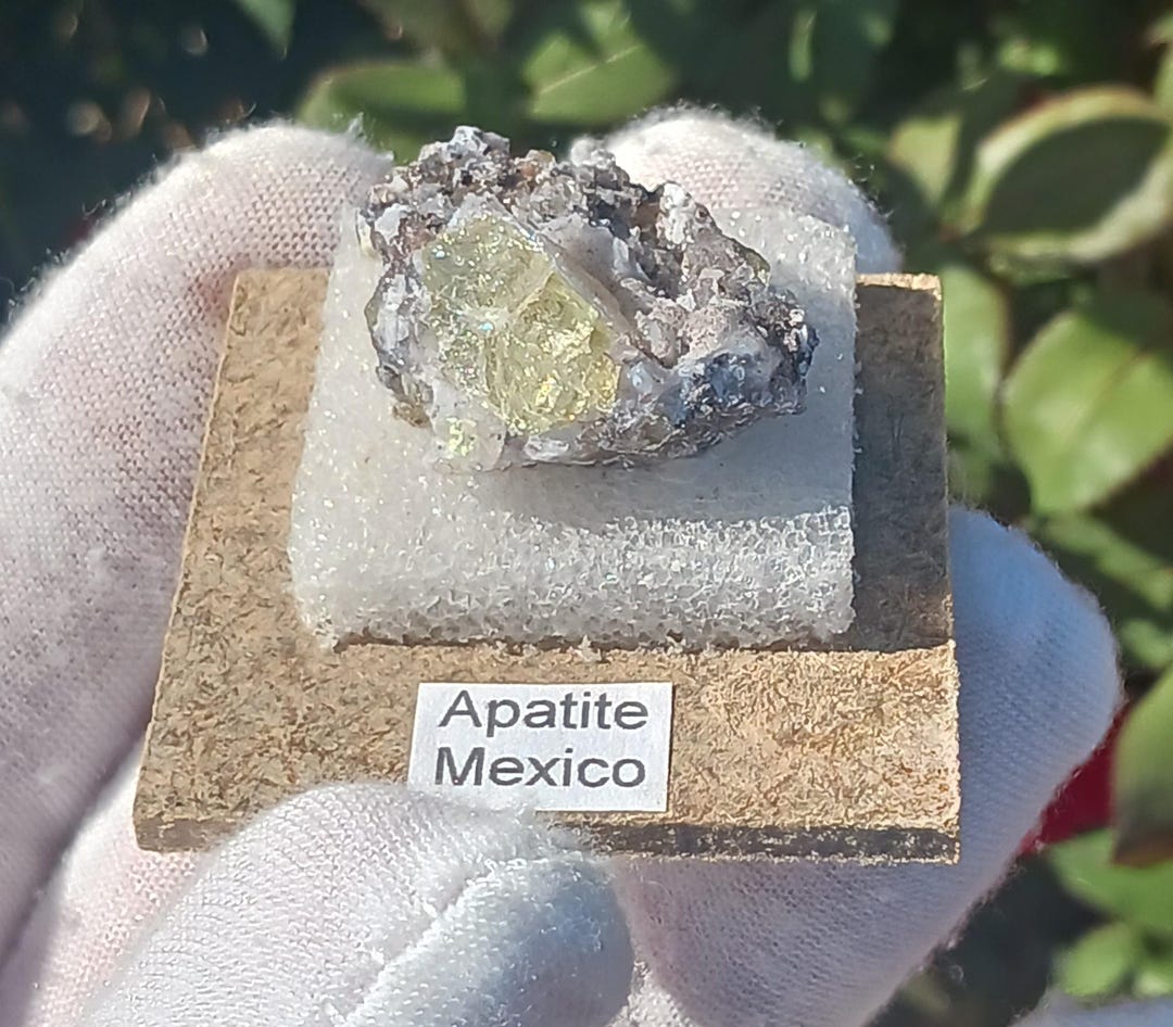 Yellow Apatite Gemstone Crystals in Host Rock, ~15g. Gemmy Yellow ...