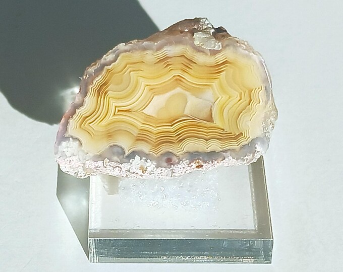 Stunning Polished Banded Thumbnail Size Yellow Laguna Agate Half Geode ...